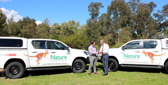 CMV Group Foundations | CMV Group